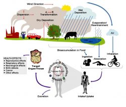 Rutgers Risk Assessment Boot Camp – EOHSI